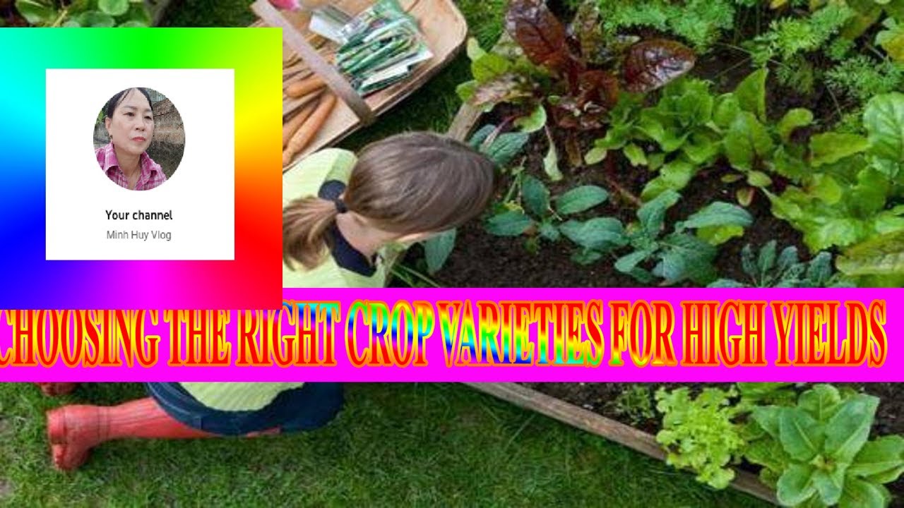 CHOOSING THE RIGHT CROP VARIETIES FOR HIGH YIELDS - YouTube