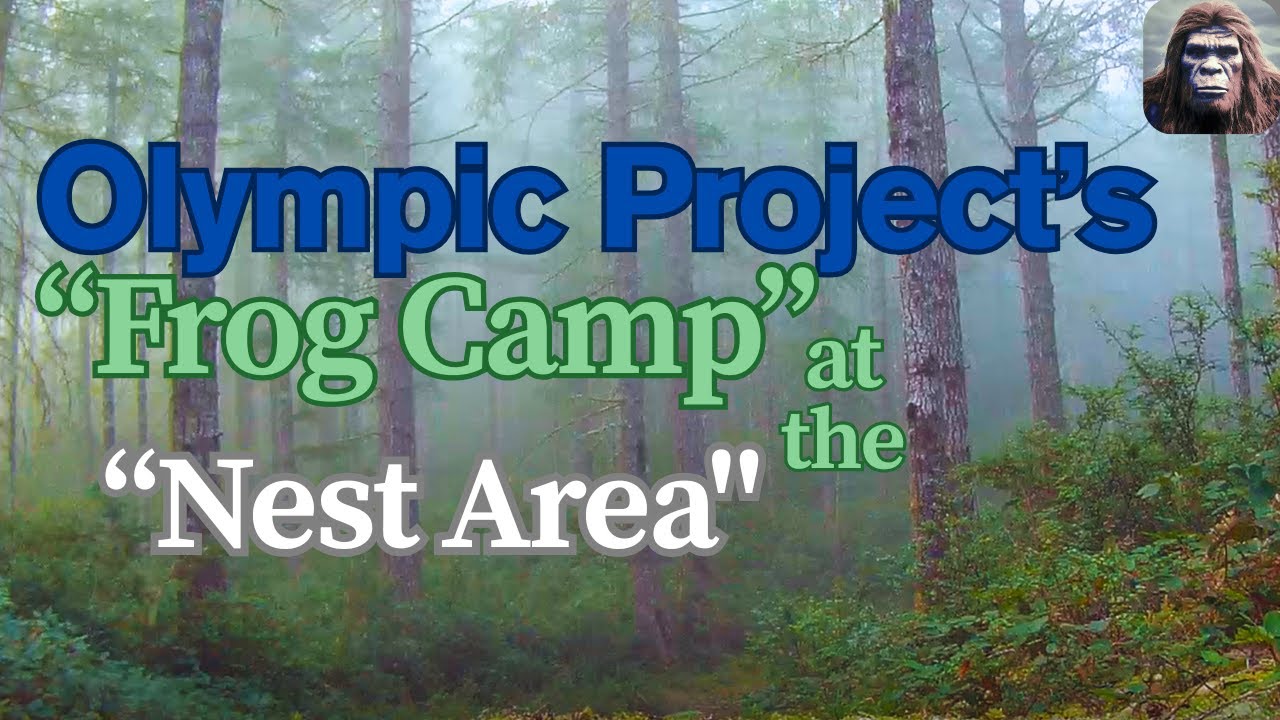 Olympic Project Members In The Nest Area - YouTube