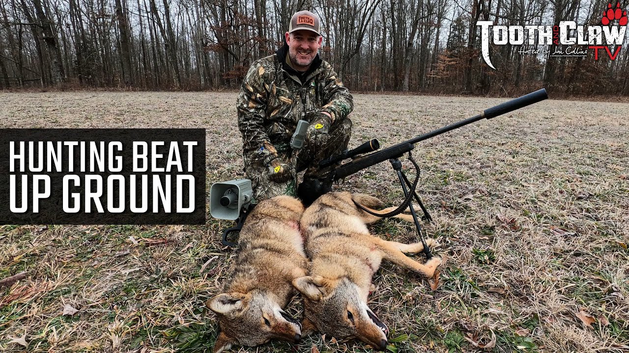 Hunting Beat Up Ground - Coyote Hunting - YouTube