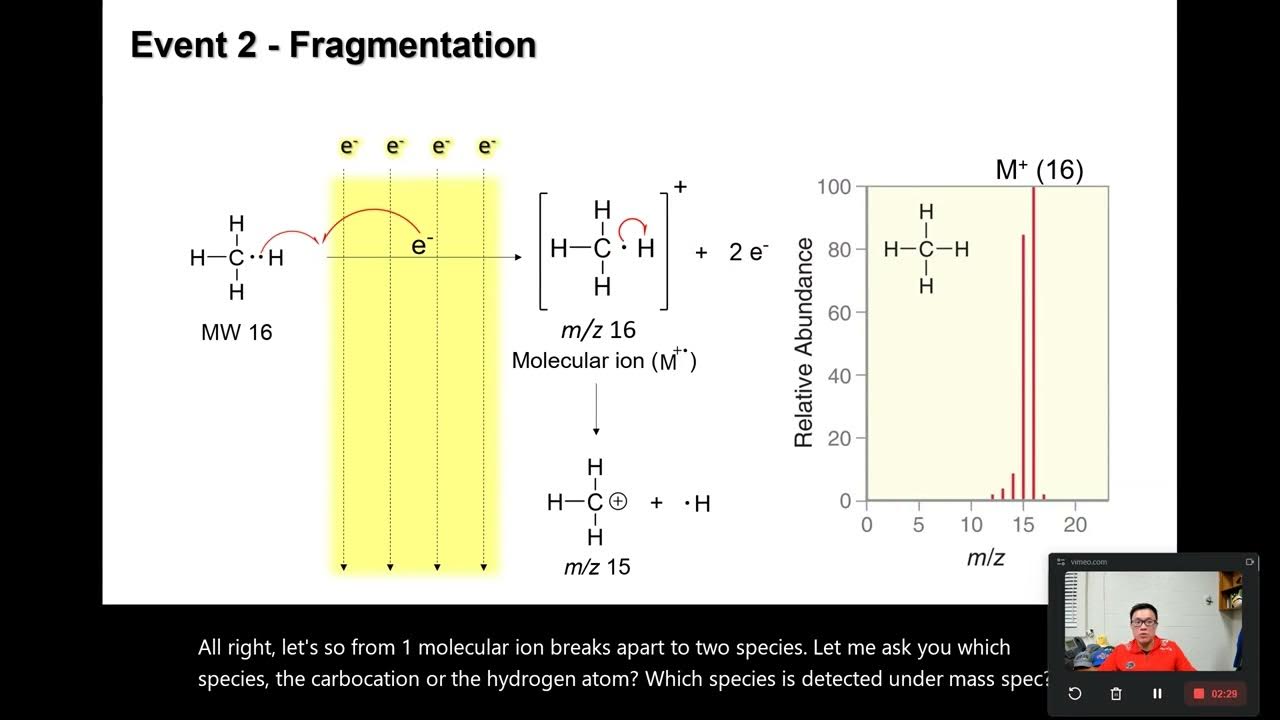 Chapter 14.3 - MS3 - Event2 Fragmentation - YouTube