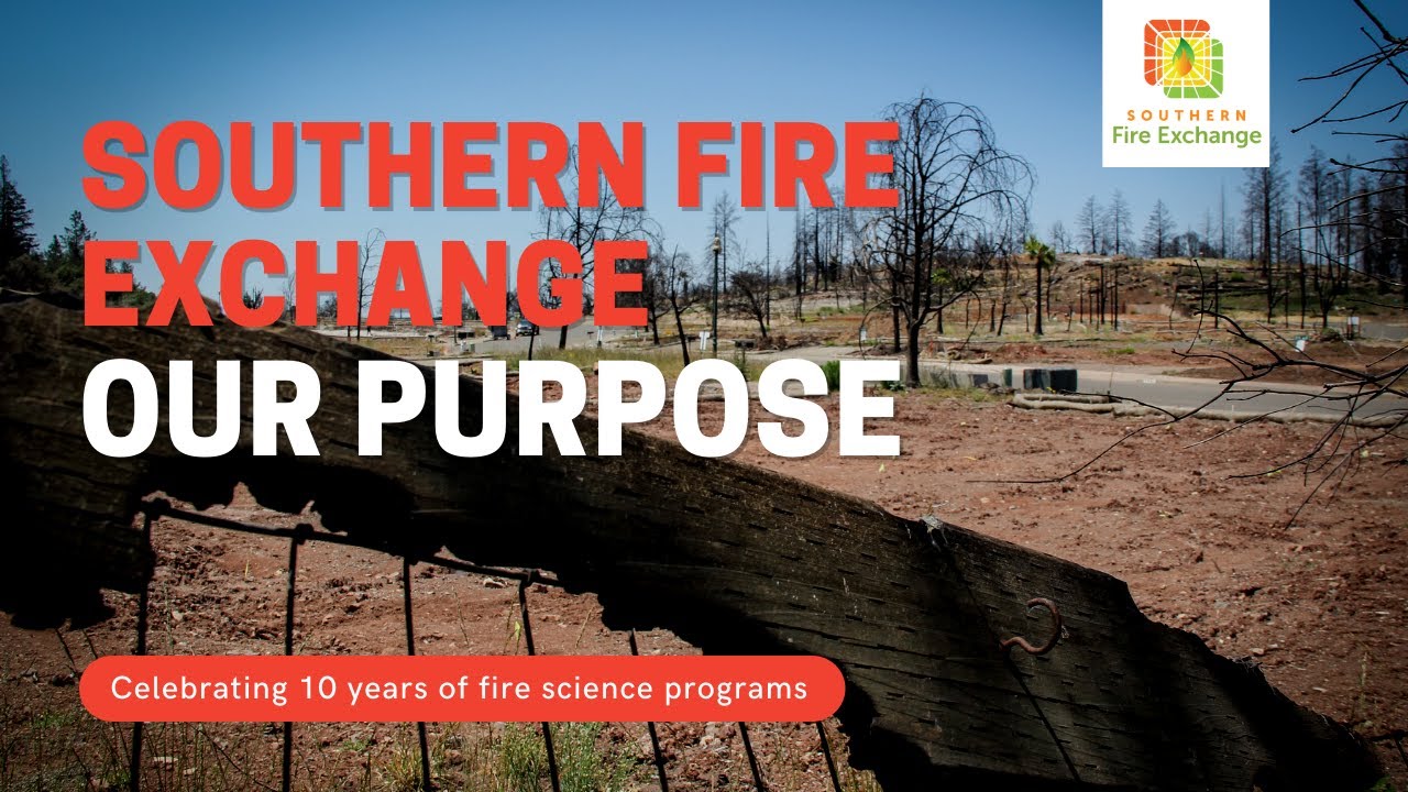 The Purpose of the Southern Fire Exchange - YouTube