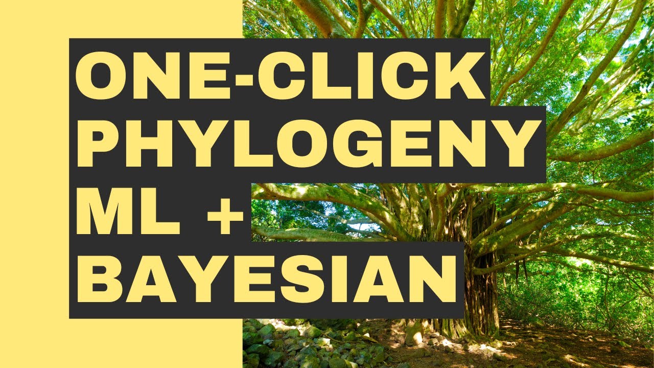 [icbi383] one-click phylogeny for ML and Bayesian Trees - YouTube