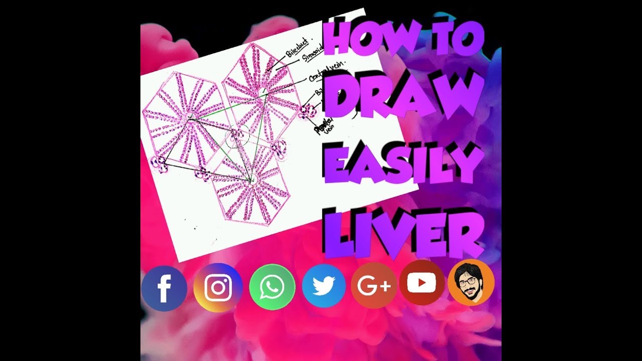 How to Draw Easily Liver Histology - YouTube