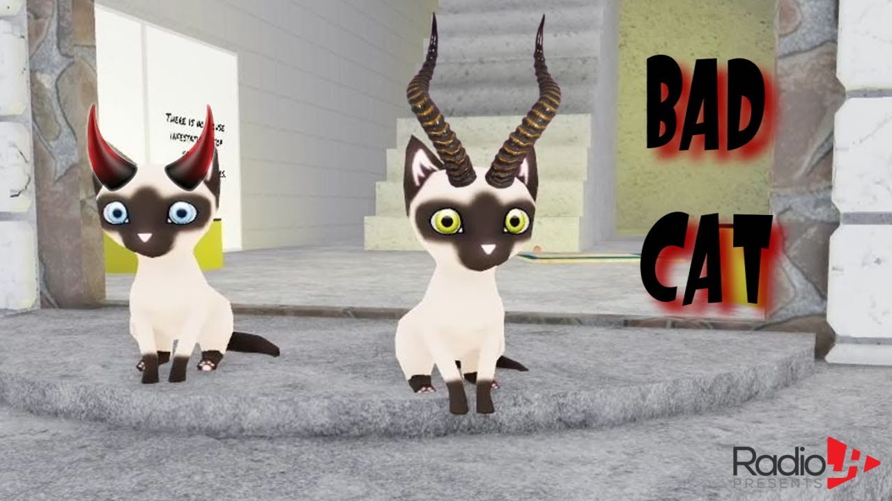 BAD CAT! with CHAD! in Roblox - YouTube