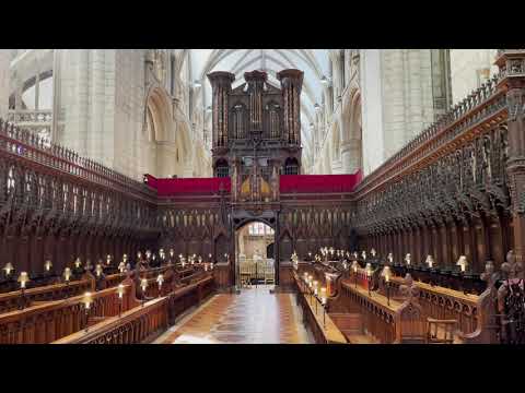 'Three Lions' played by Adrian Partington - YouTube