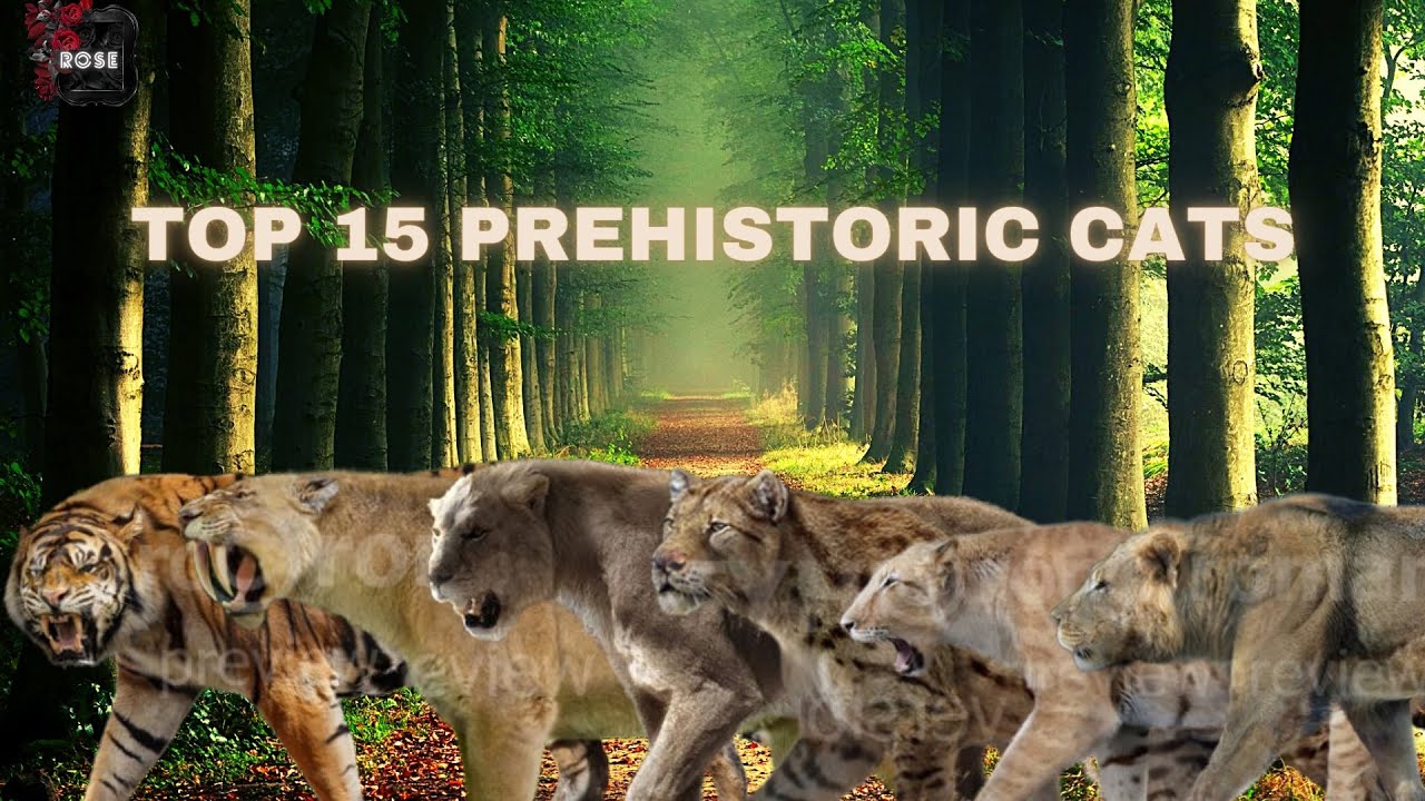 Top 15 Prehistoric Cats Size Comparison YouTube top-15-prehistoric-cats-size-comparison-youtube