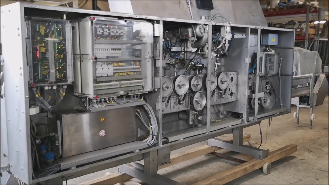 Baader 142 Gutting machine for Salmon - YouTube