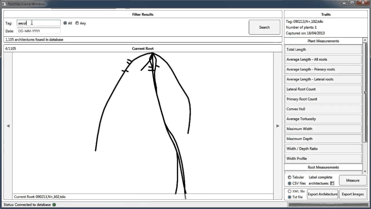 RootNav Viewer Demonstration - YouTube