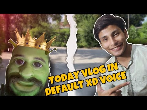Today Vlog in Default XD Voice | default XD fan 😅 - YouTube