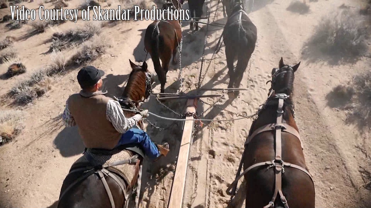 20 mule team and historic replica wagons at the Rose Parade - YouTube