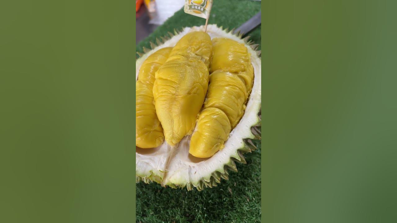 Shan Cheng Durian 2025 trailer - YouTube