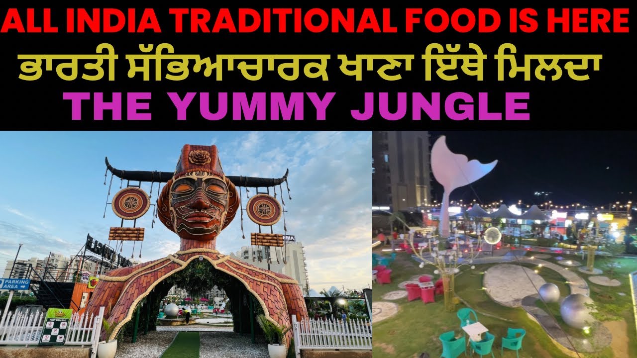 Yummy jungle zirakpur | the yummy jungle zirakpur | zirakpur yummy ...