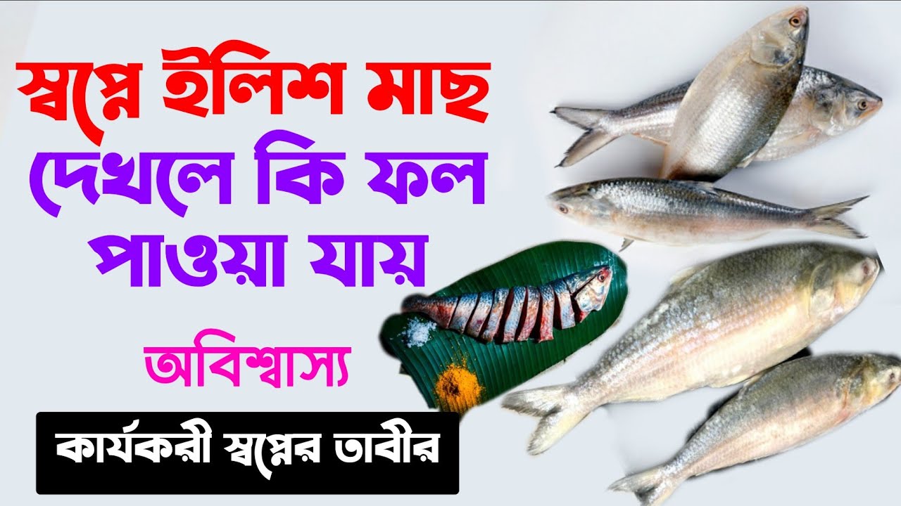 স্বপ্নে ইলিশ মাছ দেখলে কি হয় | shopne elish mash dekhle ki hoy ...