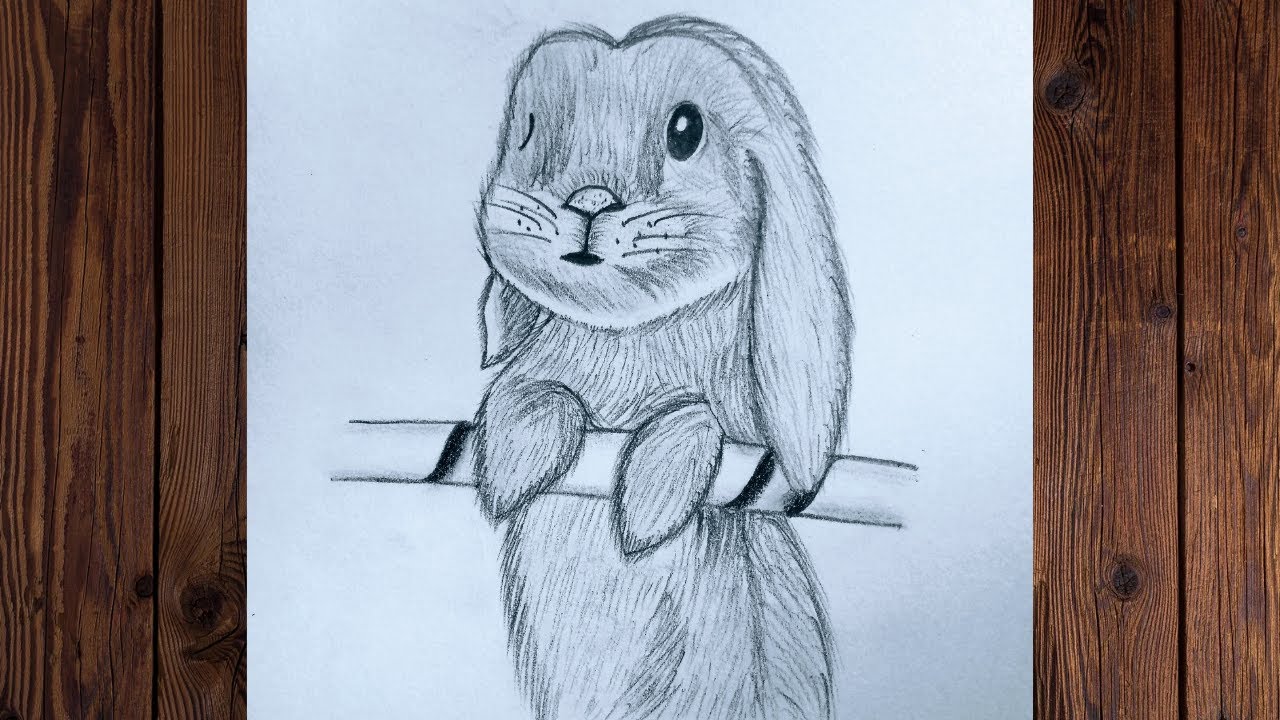 How to draw a bunny easy / How to draw a rabbit step by step /Bunny ...