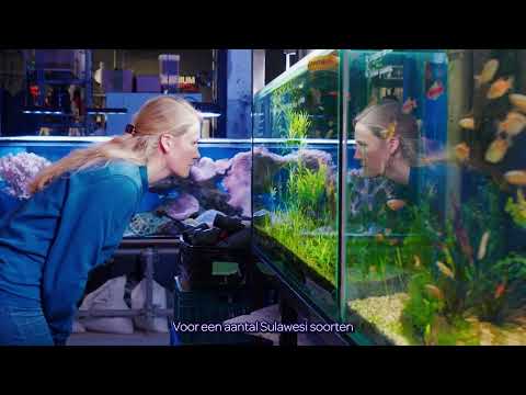 Aflevering 5: Oerwoud onder water