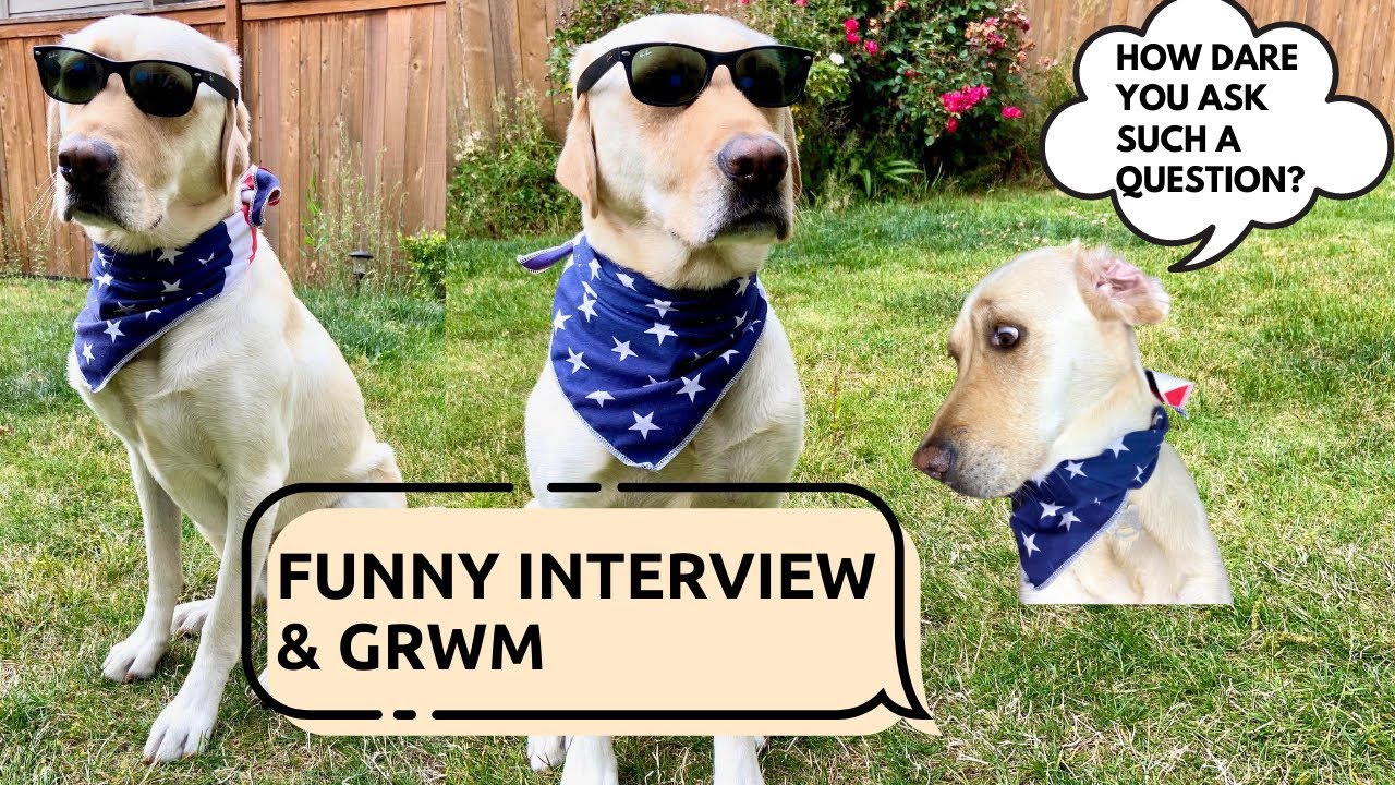 Funny Interview with My Dog | GRWM - YouTube