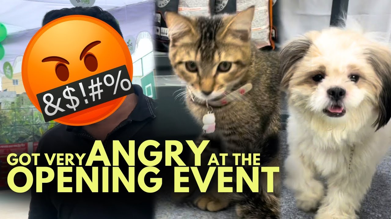 Got very ANGRY at the OPENING EVENT 😡🤬🥵 - YouTube