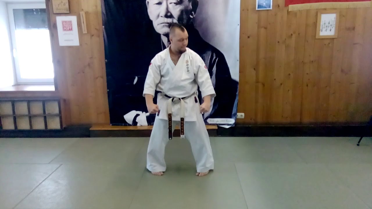 The elements of kata Sanchin Uechi ryu karate / 28 Budo akademy in ...