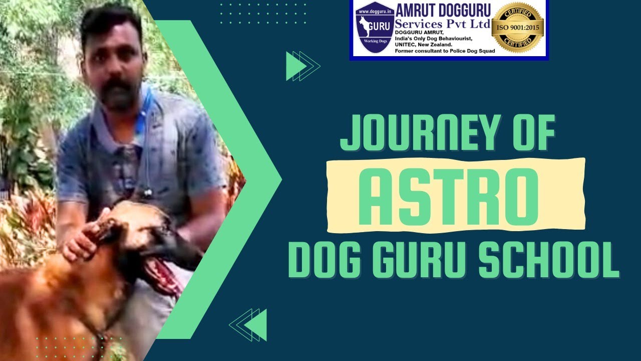 Astro Dog Journey in Dogguru School | #amrutdoguru #bestdogtraining ...