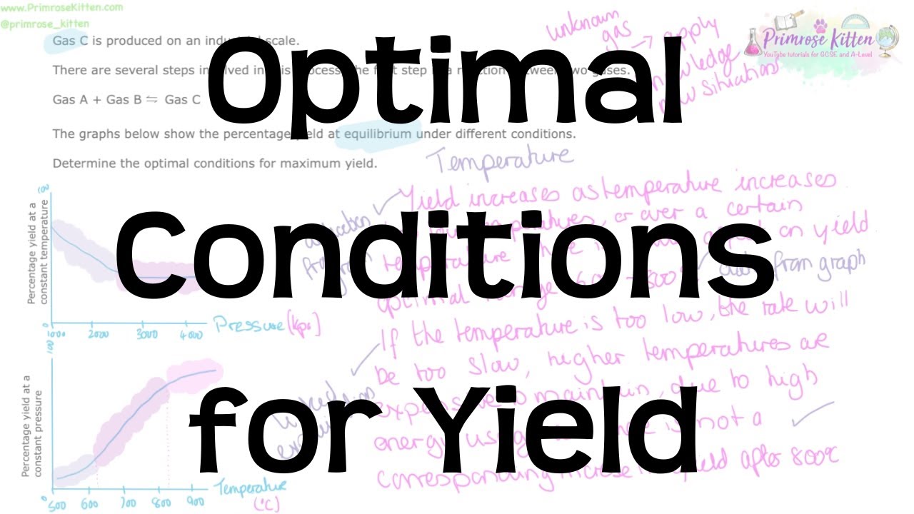 Optimal Conditions for Yield | A* Exam Question Walkthrough | Revision ...
