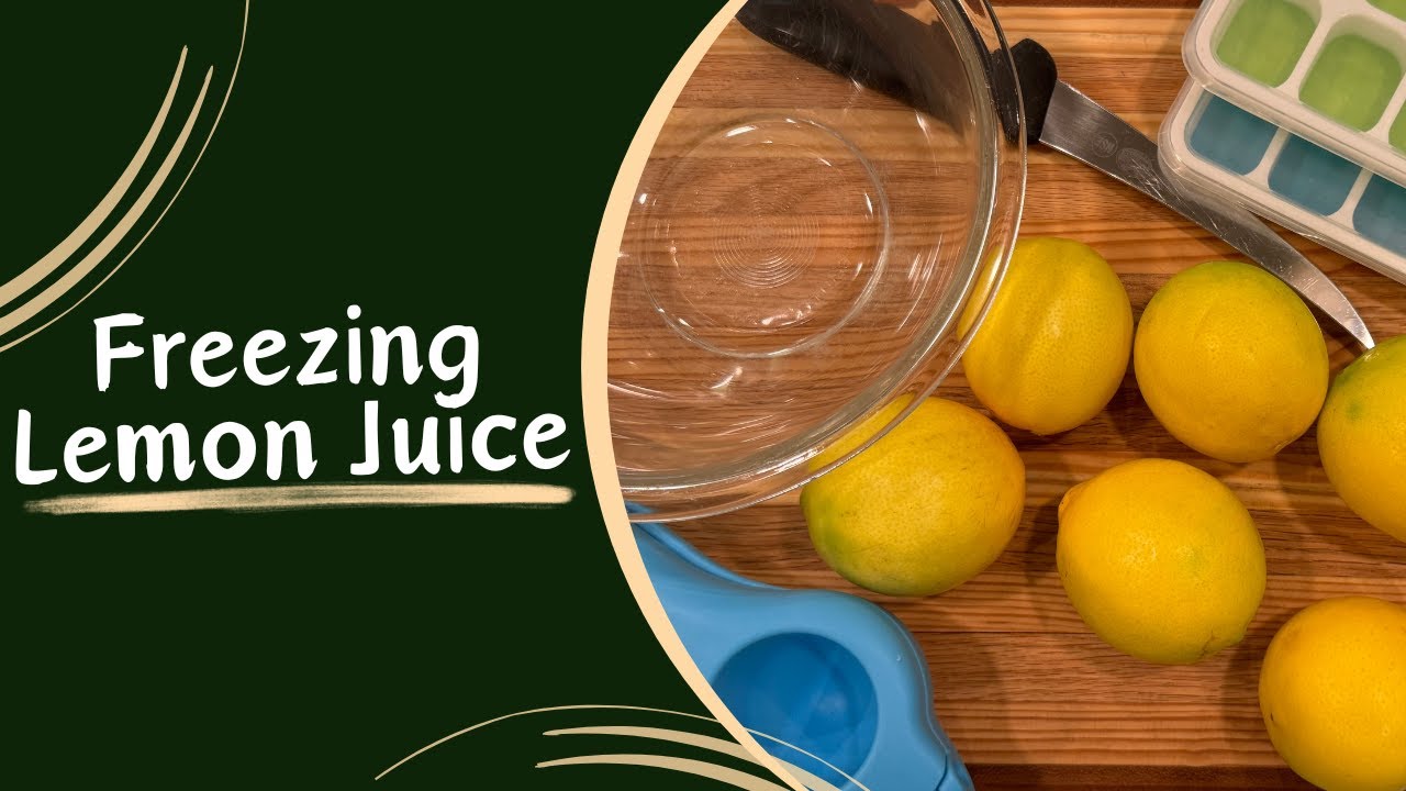 Freezing Fresh Lemon Juice | Home with the Halsteads - YouTube