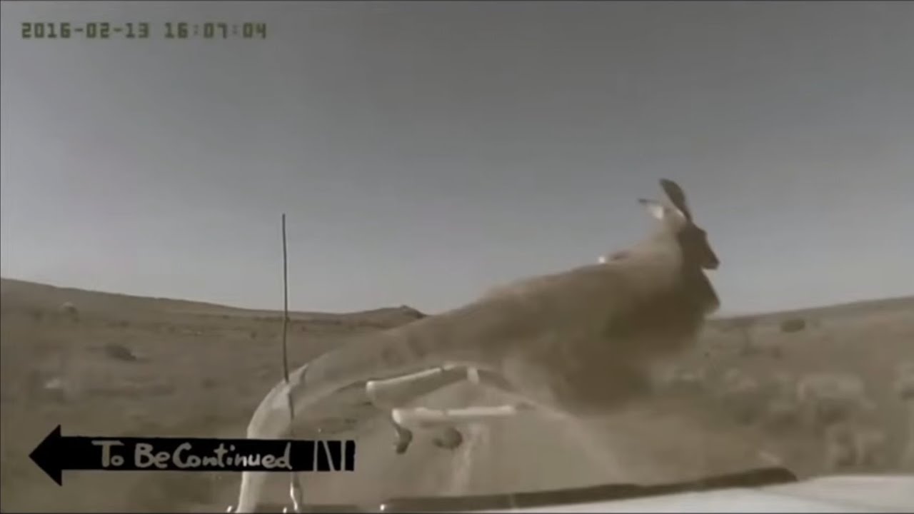 YES - ROUNDABOUT (TO BE CONTINUED MEME) SPEED UP!!! - YouTube