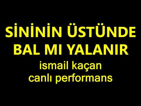 SİNİNİN ÜSTÜNDE BAL MI YALANIR ismail kaçan