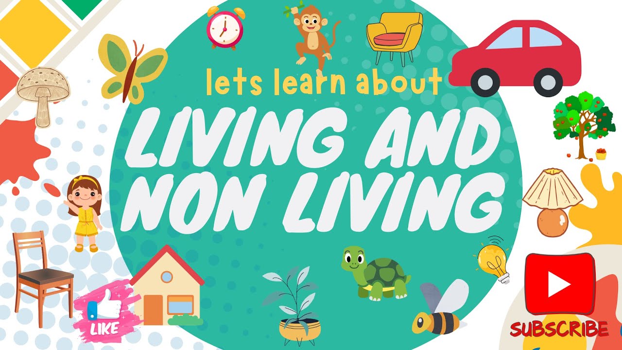 What are living and non living? | what are living and non living things ...