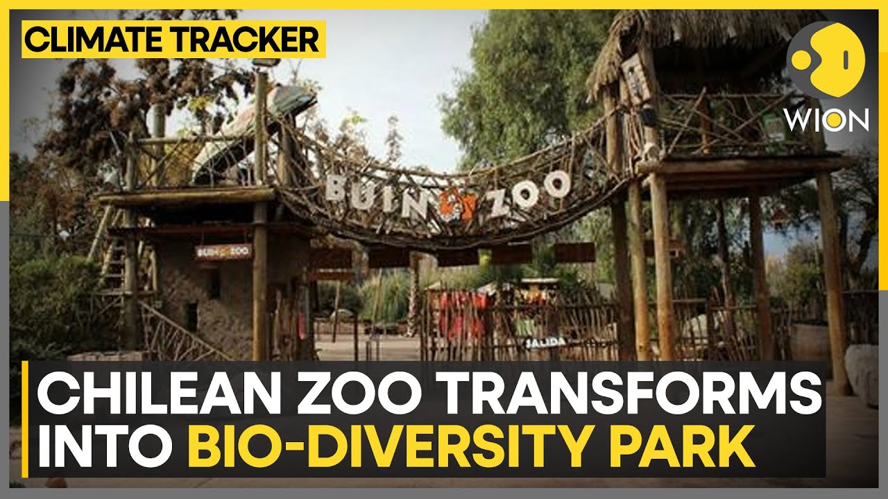 Chile's Step Towards Environmental Conservation | WION Climate Tracker ...