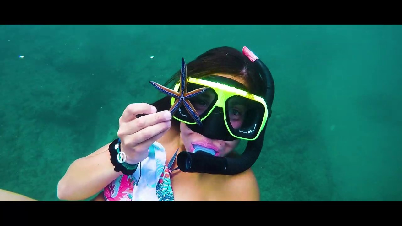 Seashell Experience - YouTube