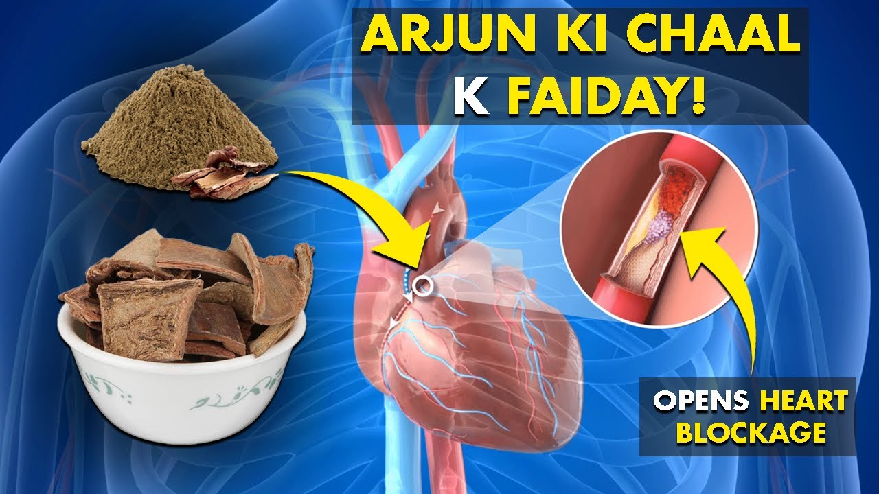 Health Benefits of ArjunChaal | arjun chhal peene ka sahi tarika, Arjun chhal ke fayde, hindi ...