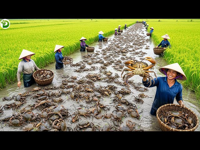 Farm Raised Crab