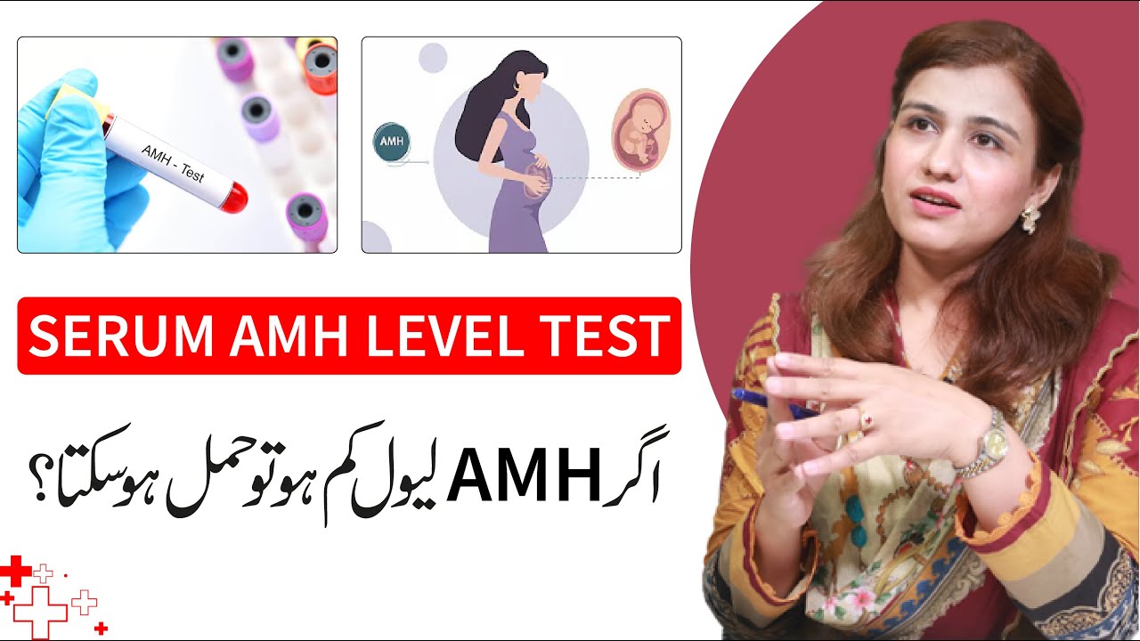 What is Serum AMH Level Test & What it indicates - Dr Maryam Raana ...