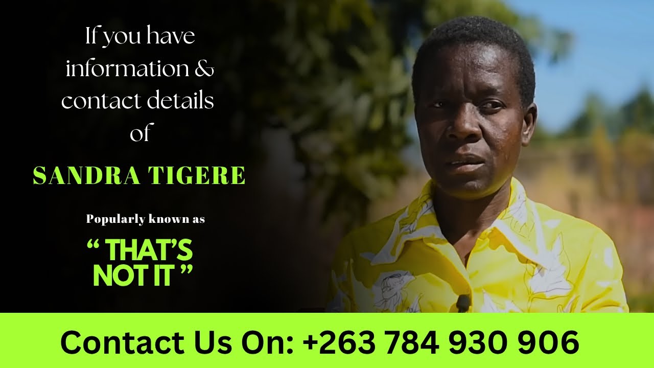 (THAT'S NOT IT)LOOKING FOR SANDRA TIGERE: TINASHE MUGABE FOUNDATION ...