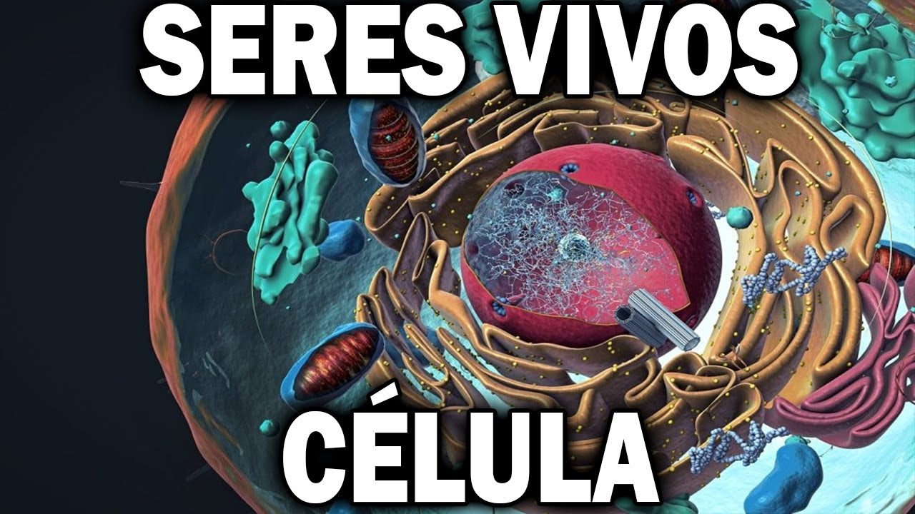Introducción a los seres vivos y las células🔬🧫 - YouTube