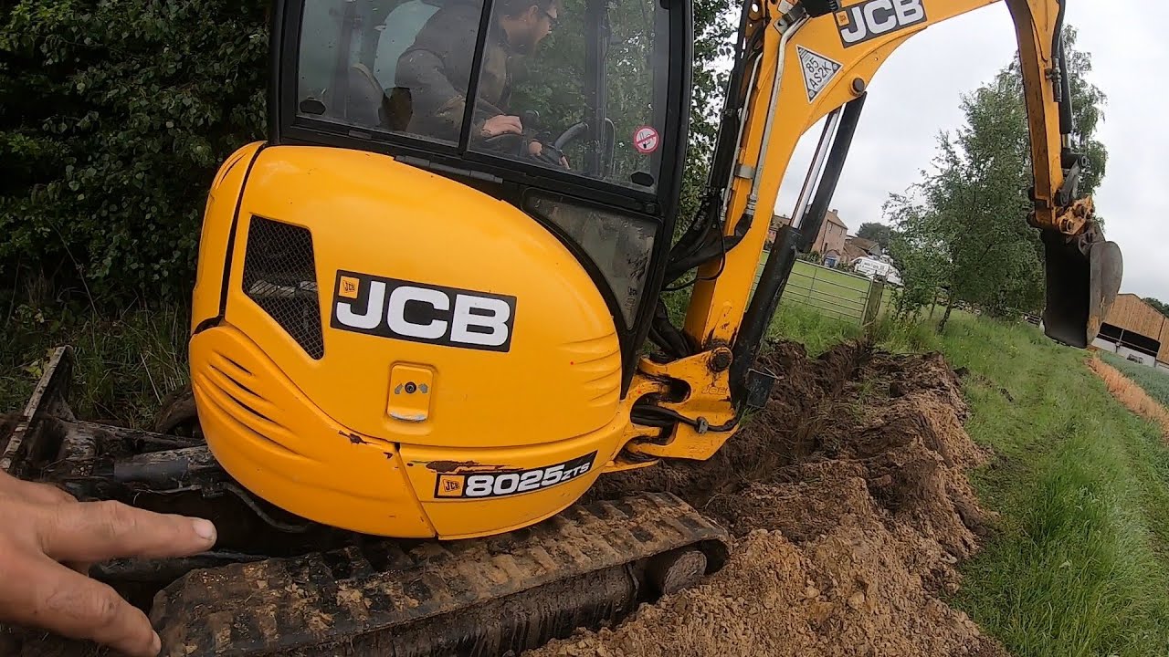 Mini Digger Jobs , 4 fresh Hereford Heifers - YouTube