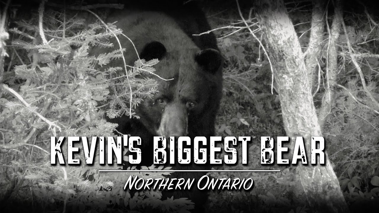 Kevin's Biggest Bear (TEASER) - YouTube