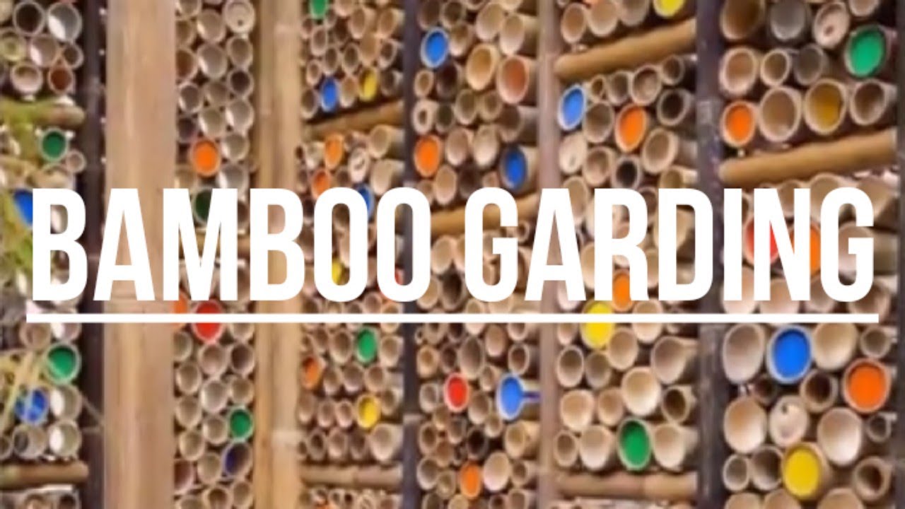 TOP 20 EASY AND BEST DIY PROJECTS USING BAMBOO GARDEN IDEAS # ...
