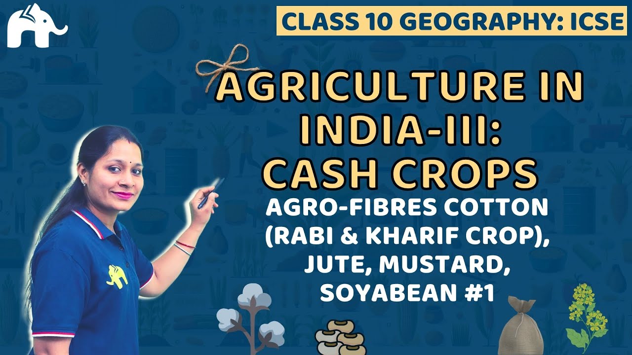 Agriculture in India-III:Cash Crops Class 10 ICSE Geography | Selina ...