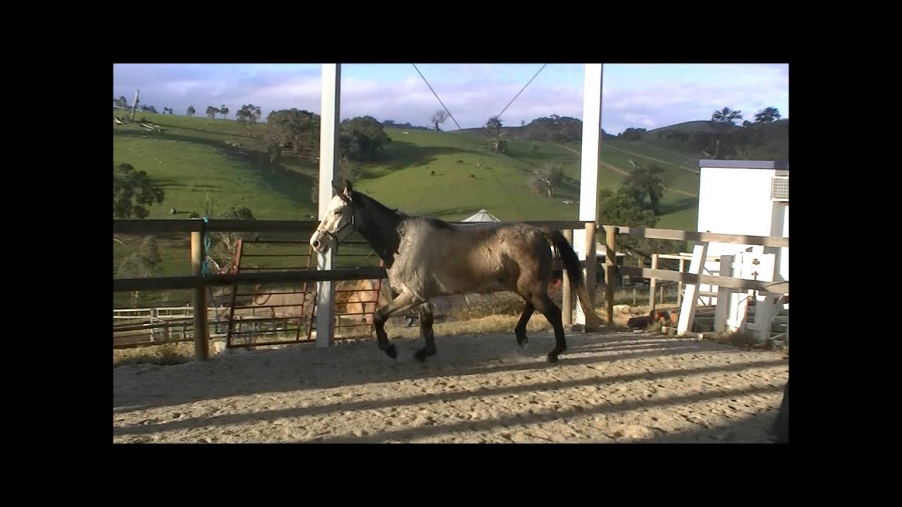 EA Caesar Freejumping - YouTube