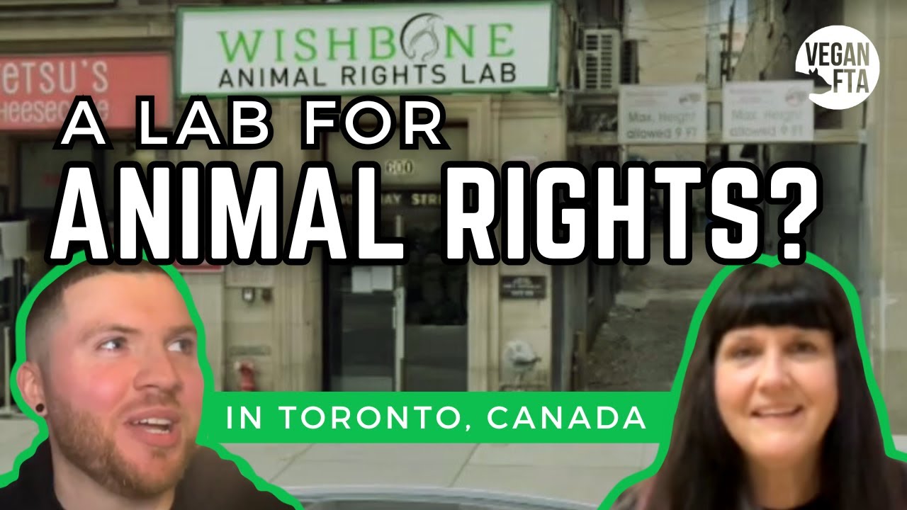 A LAB for Animal Rights!? | Wishbone Animal Rights Lab - YouTube