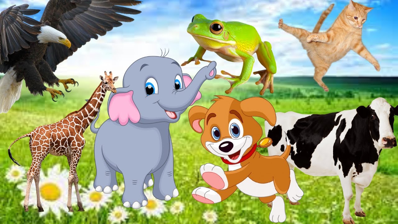 Learn to memorize animal sounds elephant rhino cow giraffe cat - YouTube