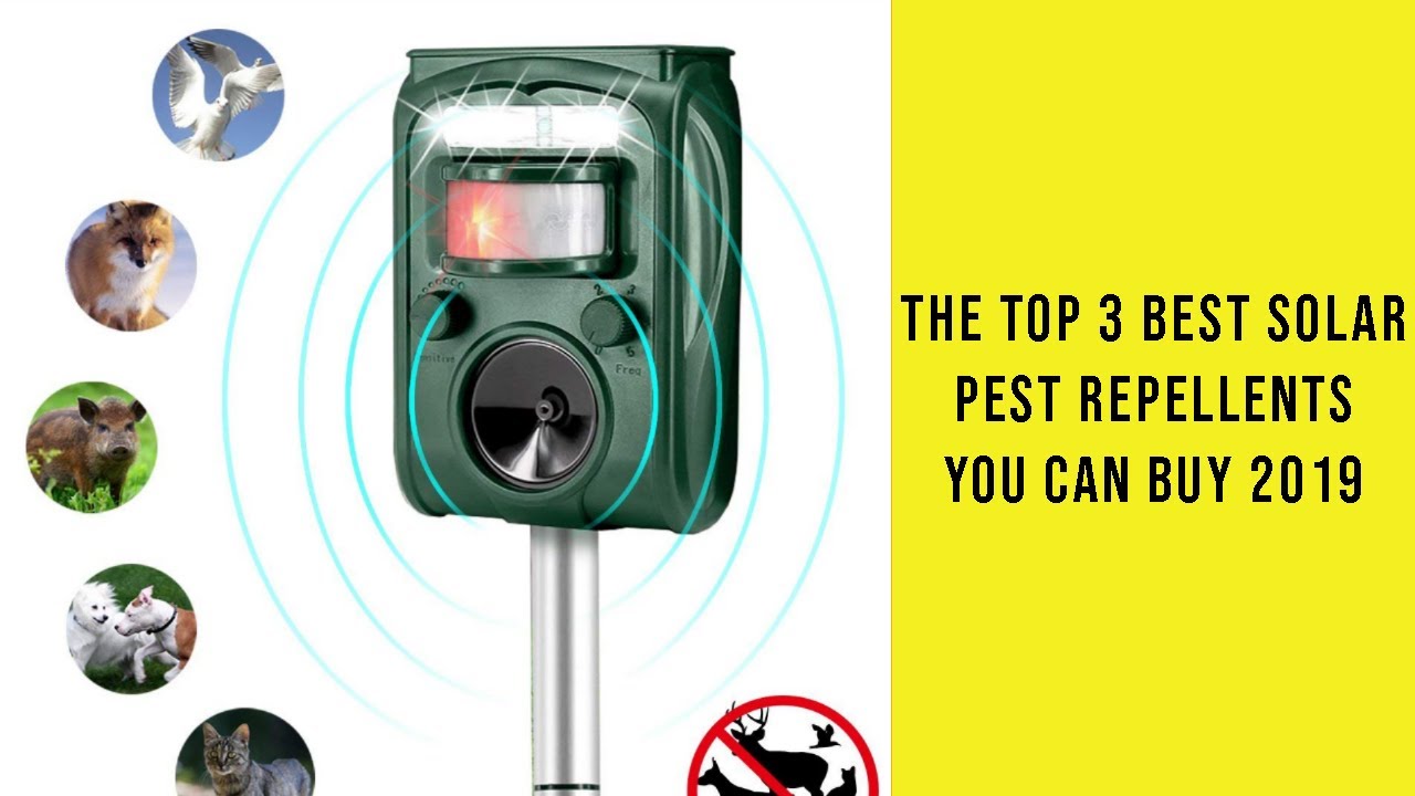 The Top 3 Best Solar Pest Repellents You Can Buy 2019 - YouTube