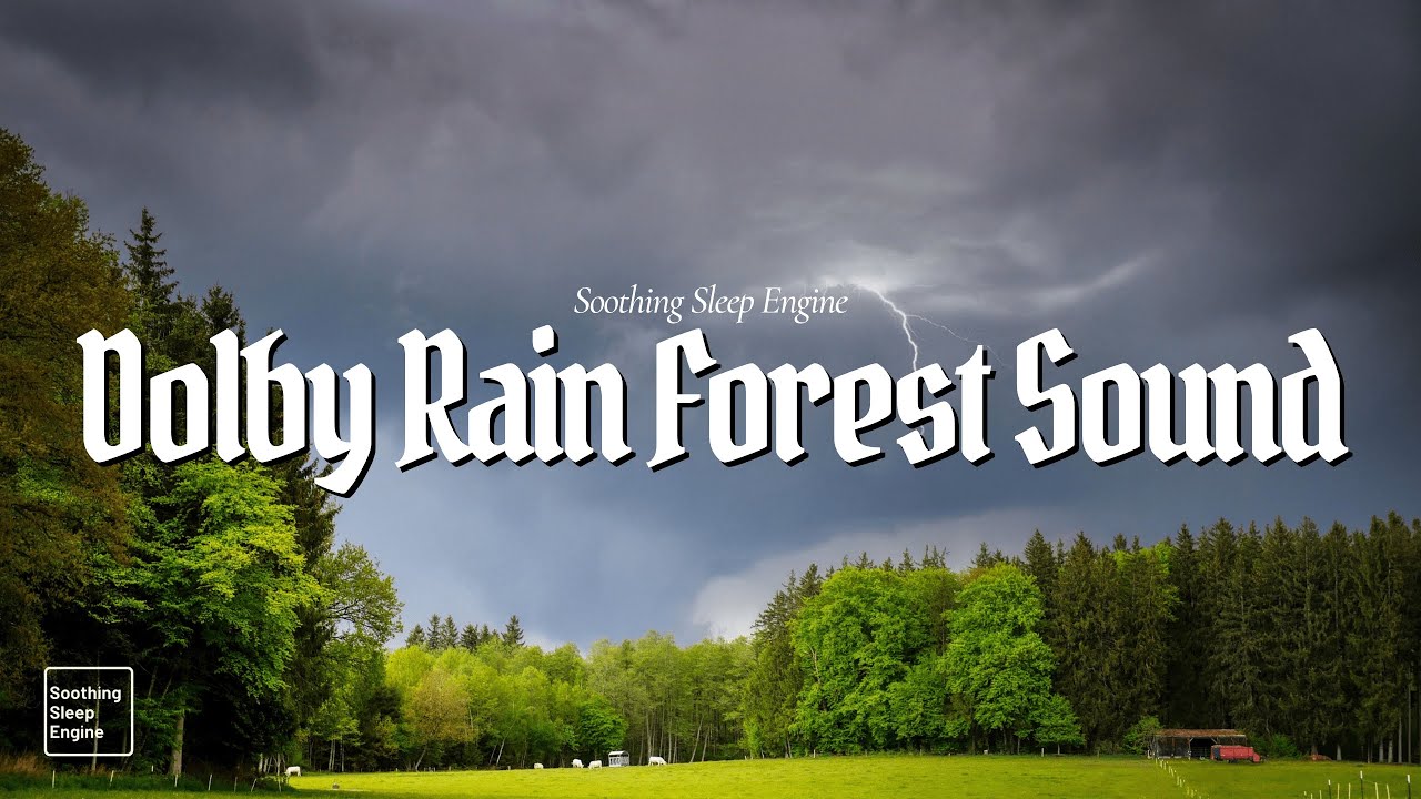 Experience the real Dolby Atmos sound RAIN FOREST & Relaxing Nature ...