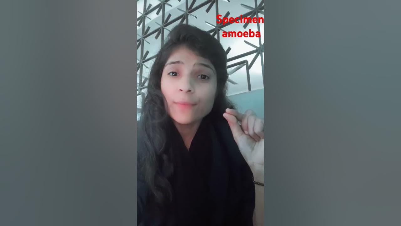 About amoeba and their character😁 - YouTube