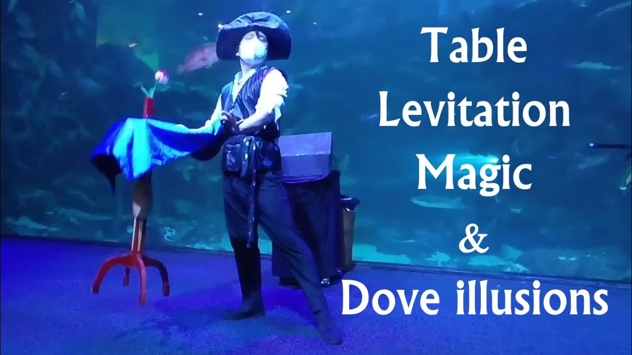 3D 180VR 4K Flying Table Levitation Magic & Dove illusions - YouTube