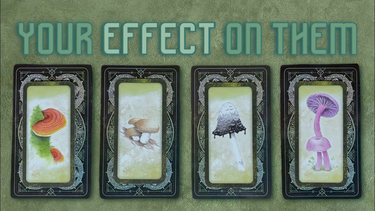 What Is Your Effect On Them? 🫧 | 🌿 Tarot • Pick a Card Reading 🌟 - YouTube