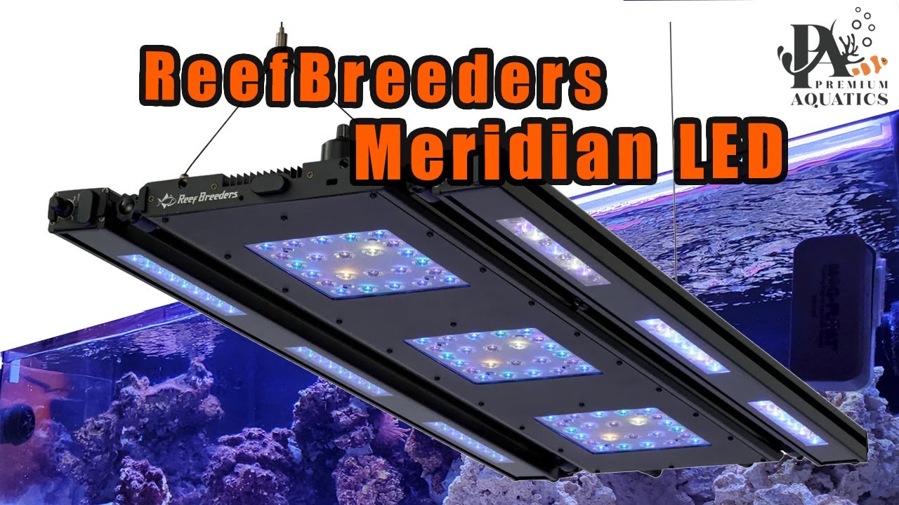 New Reef Breeders Meridian & Meridian Edge LEDs - YouTube