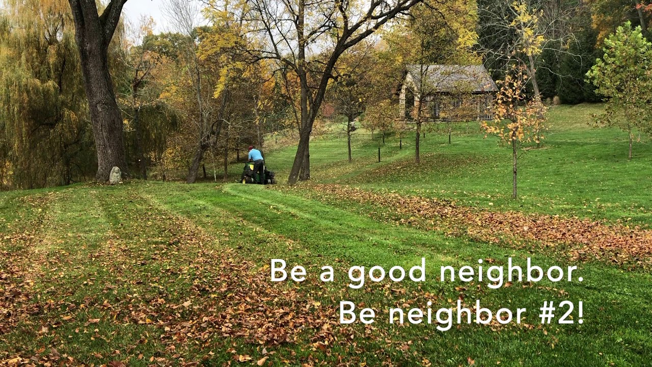 A Tale of Two Neighbors - YouTube