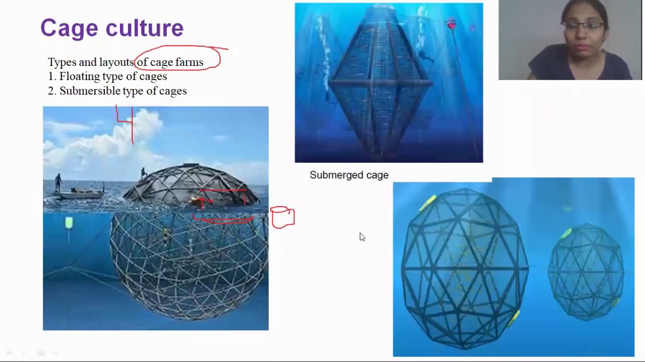 Methods of Fish Farming I Aquaculture - YouTube